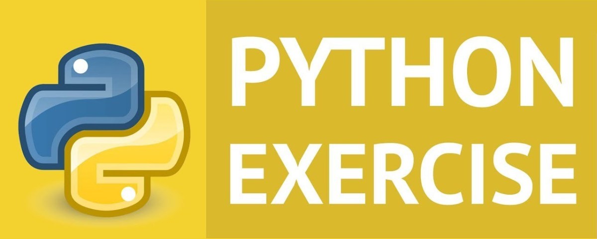 Python Exercise: Character Input – DevNess
